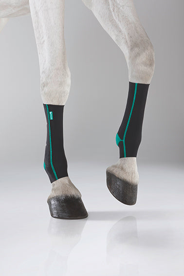 Calze contenitive EquiCrown - Natural Horse Point