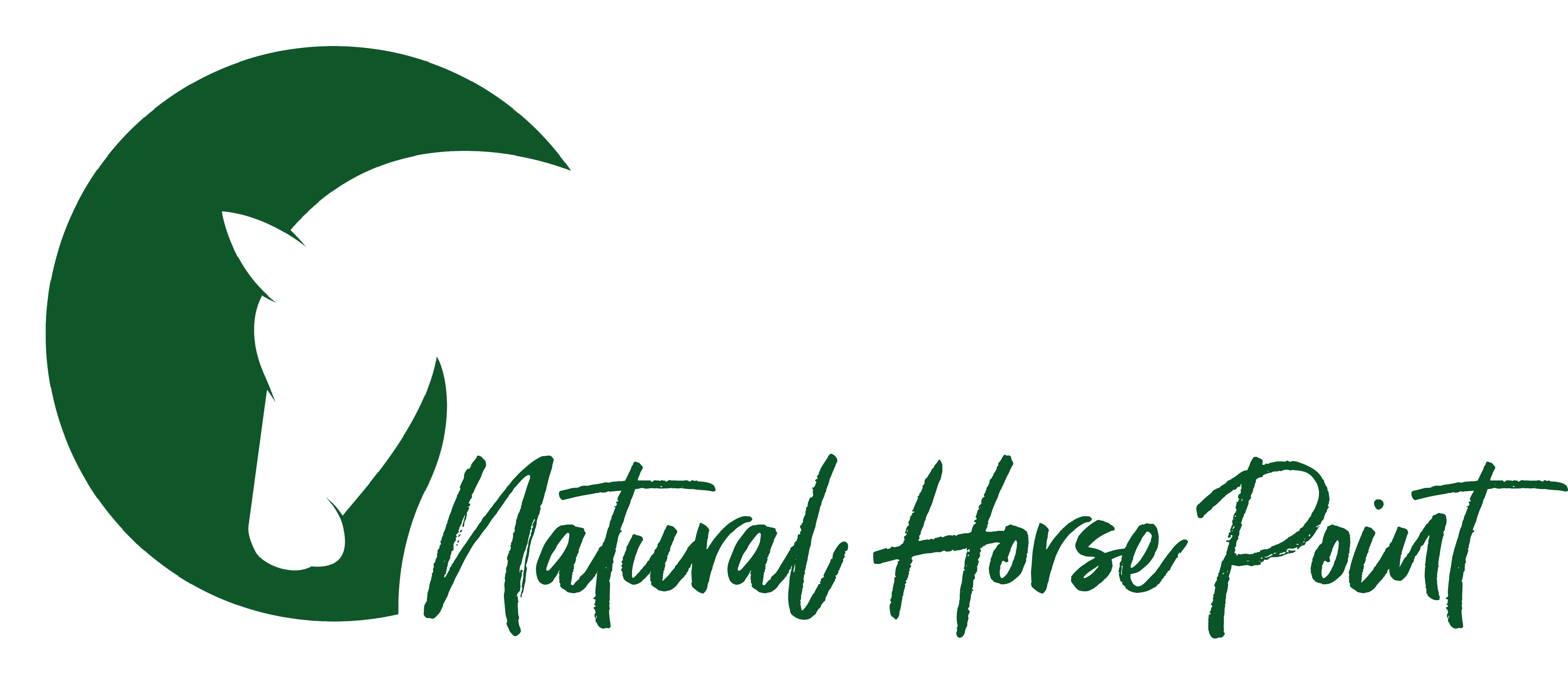 Salute e benessere dei cavalli sportivi - Natural Horse Point