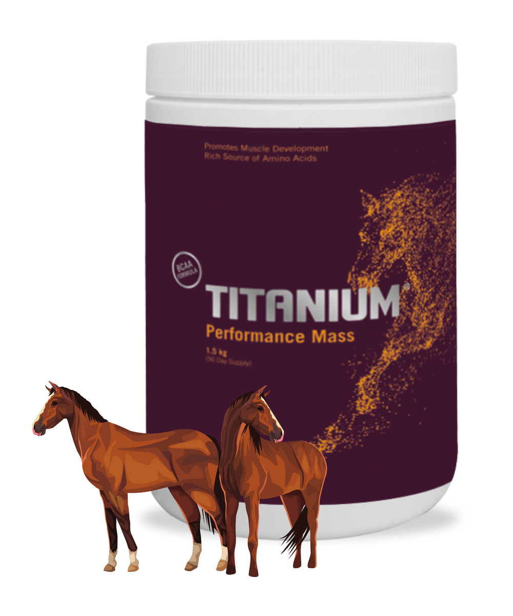 Titanium Performance Mass – Natural Horse Point